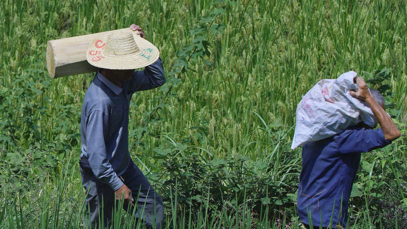 The Axis of Big Data. 2024. Directed by Zhou Tao Terminal Island. 2024. Directed by Sam Drake | MoMA